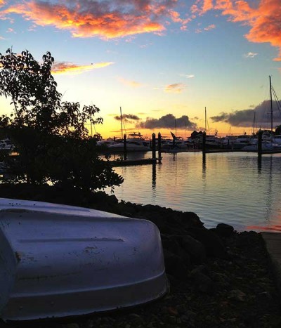 FISHI – Fresh Island Seafood – Airlie Beach, Hamilton Island ...