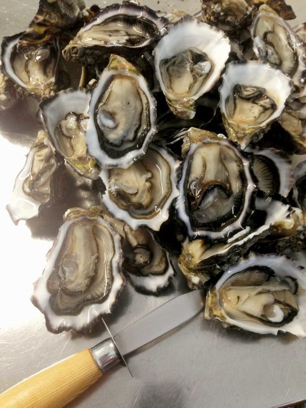 FISHI – Fresh Island Seafood – Airlie Beach, Hamilton Island ...