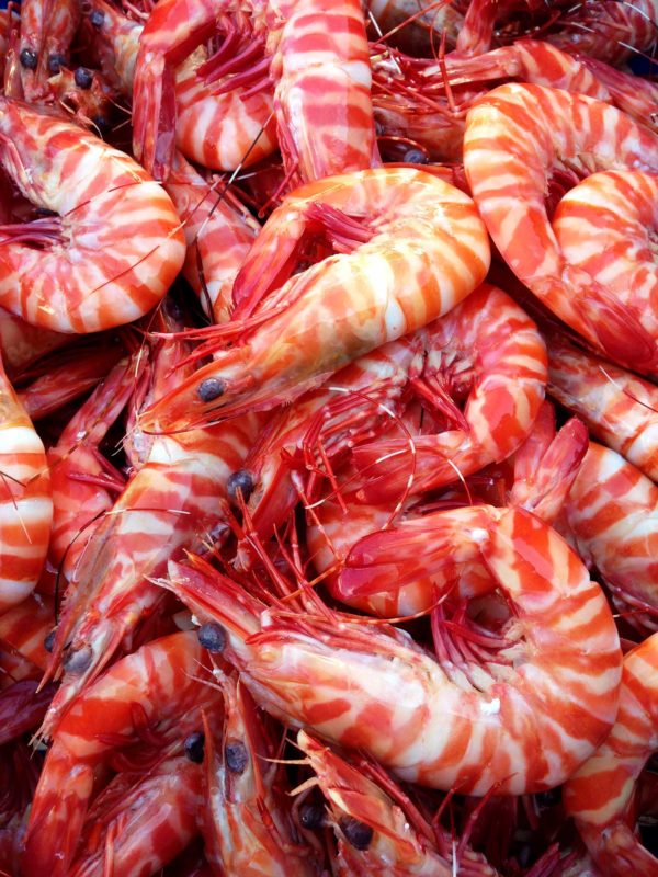 FISHI – Fresh Island Seafood – Airlie Beach, Hamilton Island ...