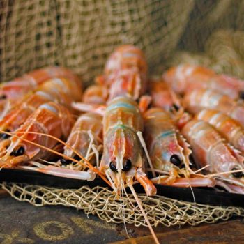 Scampi - FISHI