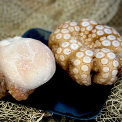 Octopus Whole - FISHI