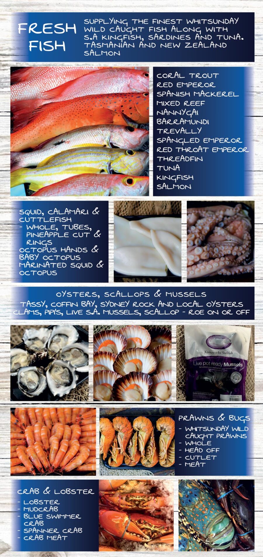 BROCHURE-ENGLISH - FISHI